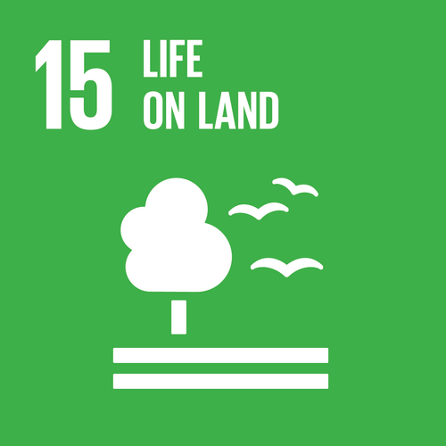 SUSTAINABLE DEVELOPMENT GOALS IN BELARUS – NATIONAL COORDINATION CENTRE ...